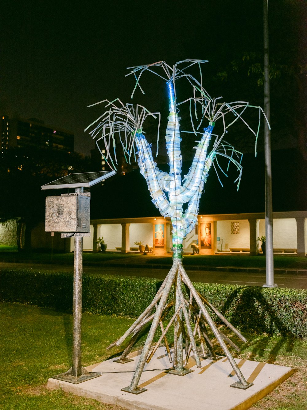 Adventitious Roots Kat Kazlauskas 2022 – Mayor’s Office of Culture and ...